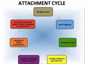 Attachment Cycle 2 - The Green House Center